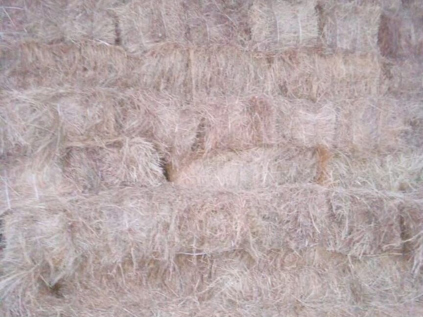 Сено солома в тюках