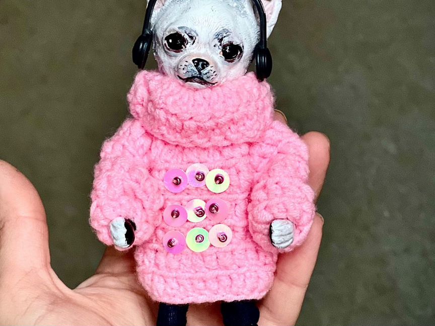 Собака чихуахуа