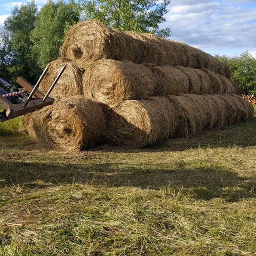 Сено рулонах