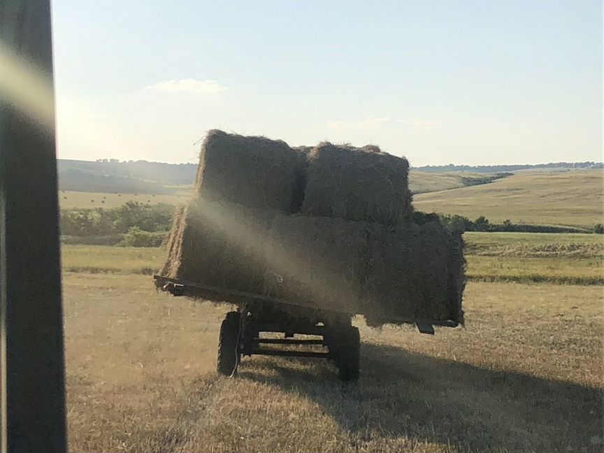 Продам сено в рулонах