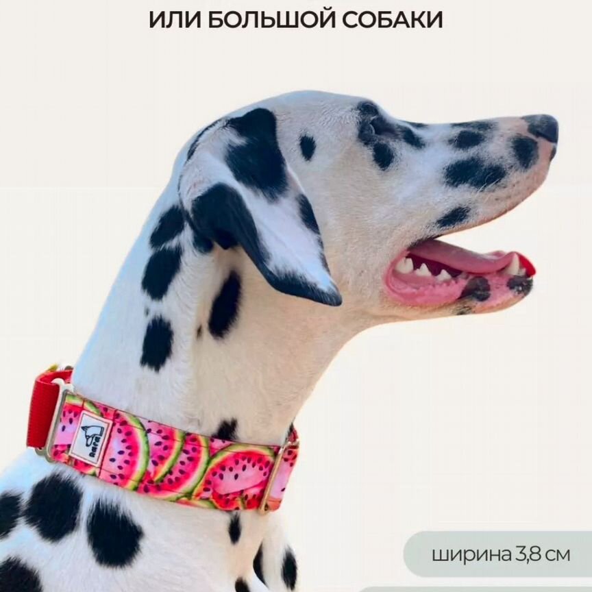 Ошейник-мартингейл Rafa xl для крупной собаки