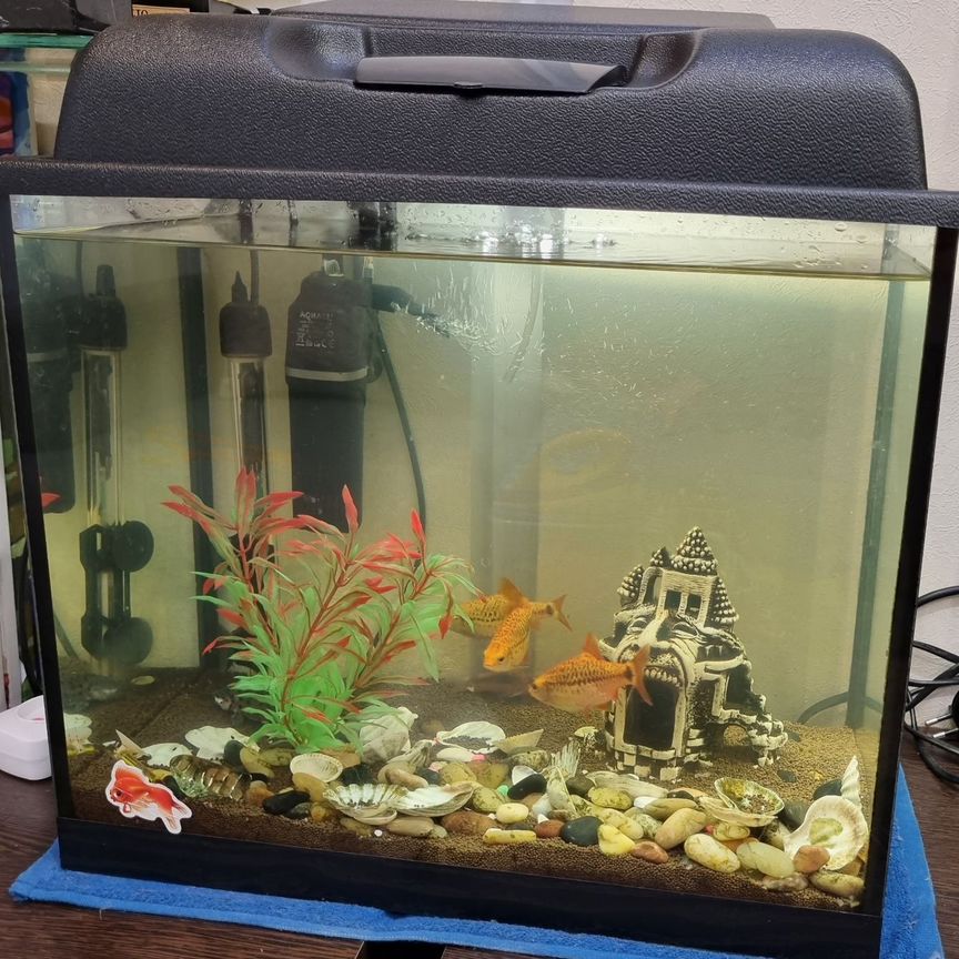 Аквариум на 35л