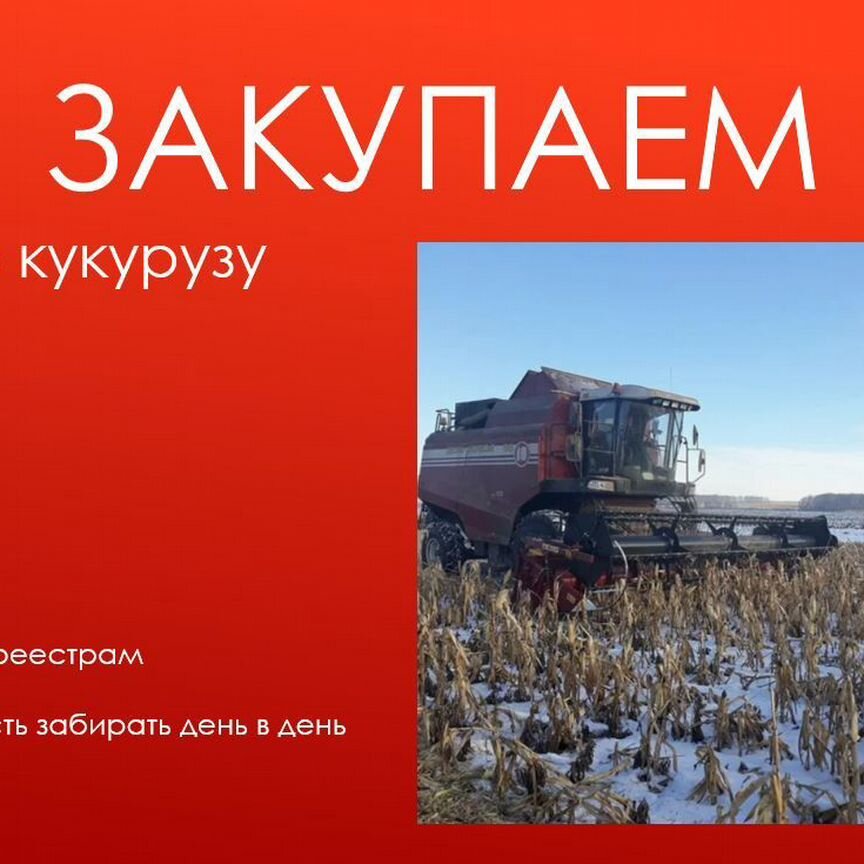 Кукуруза 5 тонн. По цфо