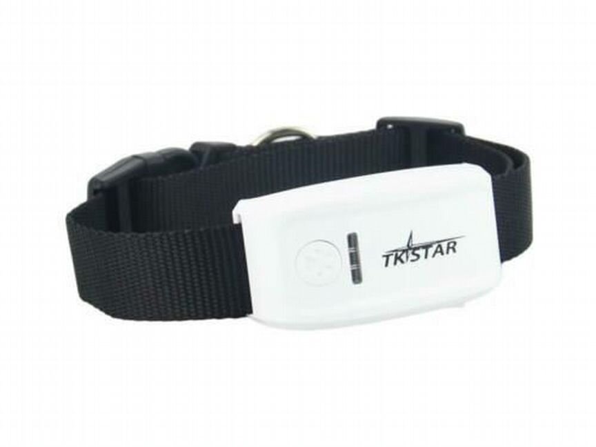 Ошейник для животных TKstar TK909 Gps трекер