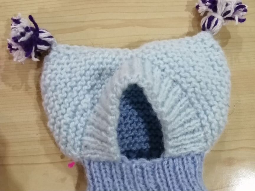 Жилет и шапки для минисобак