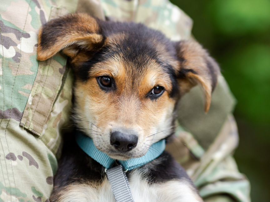 Шурик 3,5 месяца