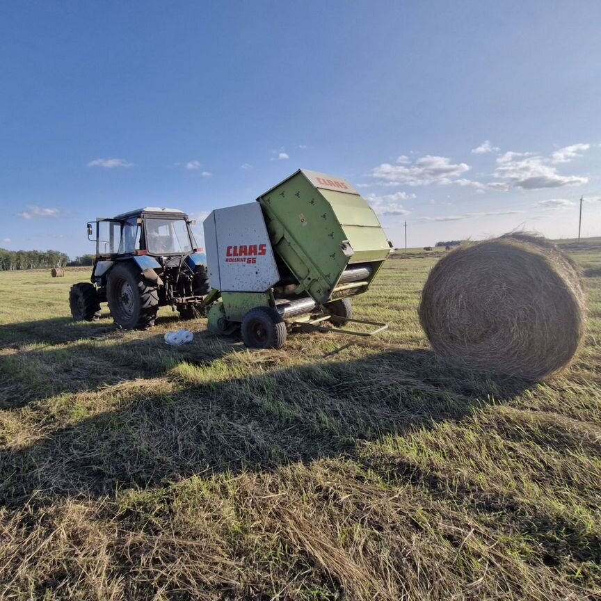 Товары для животных