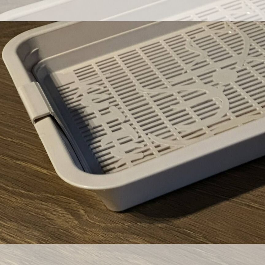 Лоток для котят