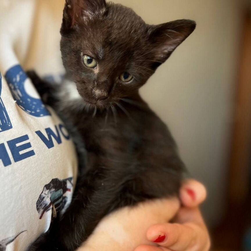 Смог выжить с улицы маленький малыш