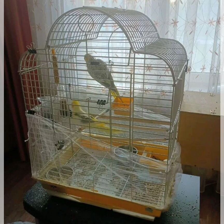 Клетка для попугаев с домиком