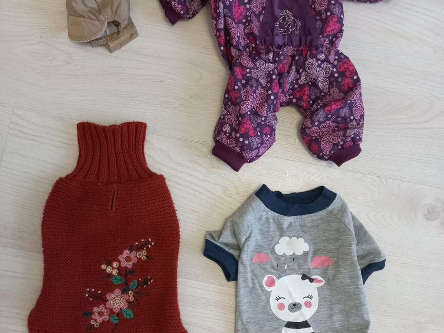 Одежда для собаки