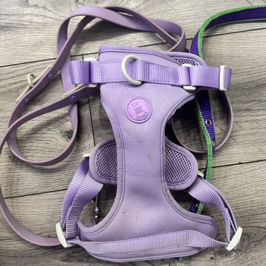 Шлейка для маленькой собаки