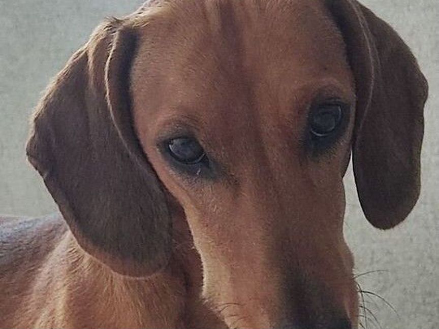 Вязка