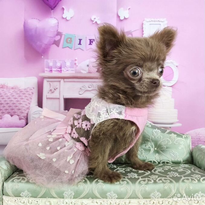 Лиловая мини куколка