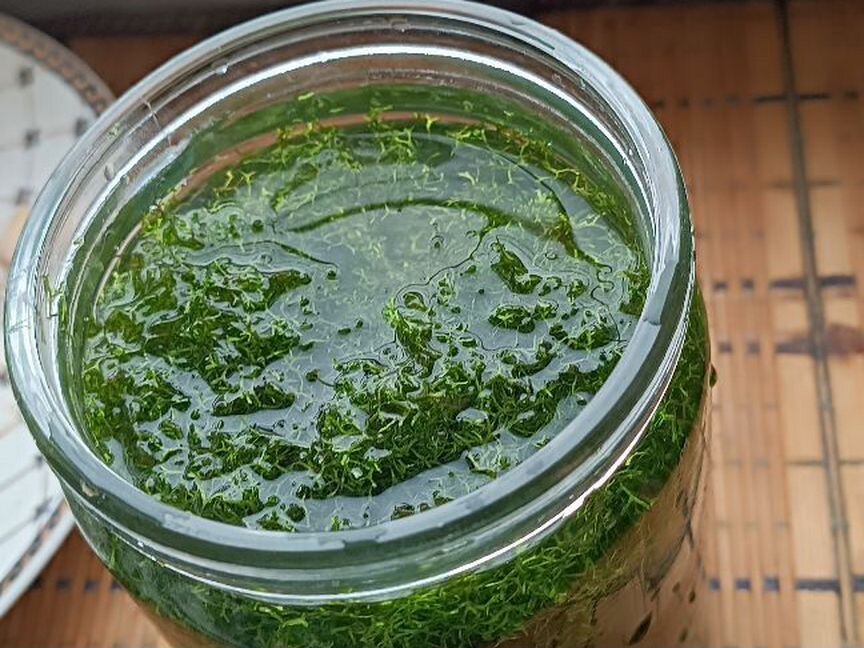 Аквариумные растения прополка