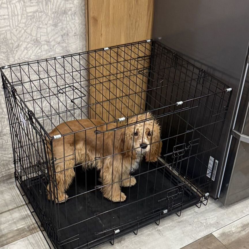 Клетка вольер для собак №3, 2 двери, 75x45x50 см
