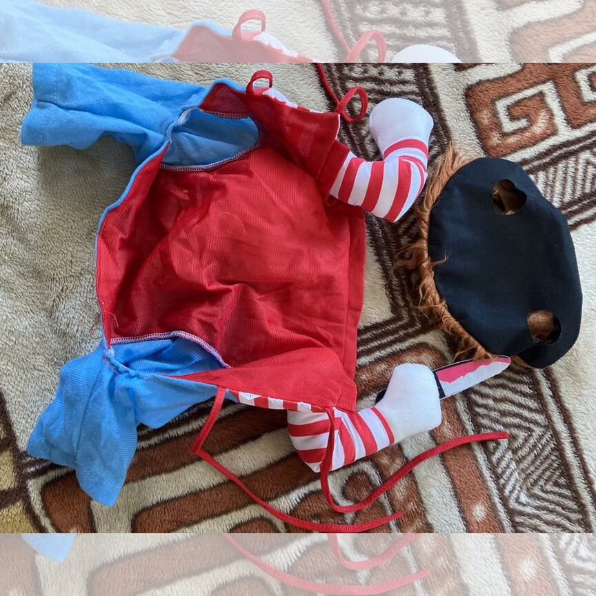 Костюм для маленькой собачки