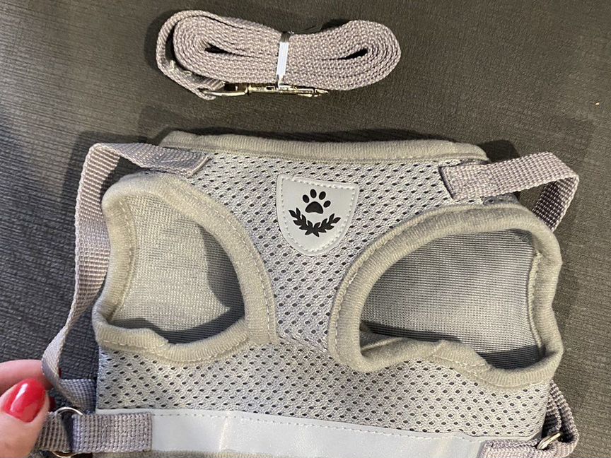 Шлейка и поводок. Обувь для собак