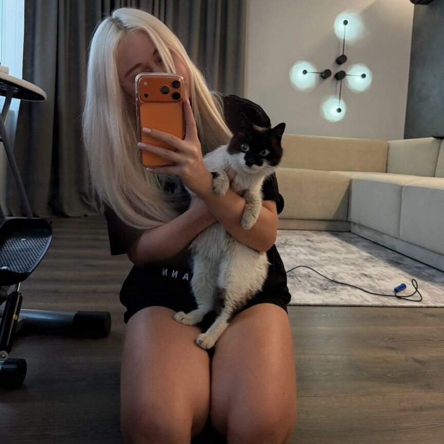 Взрослая, кошка в добрые руки