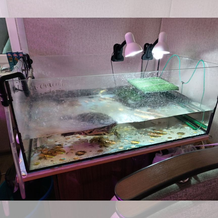 Аквариум большой