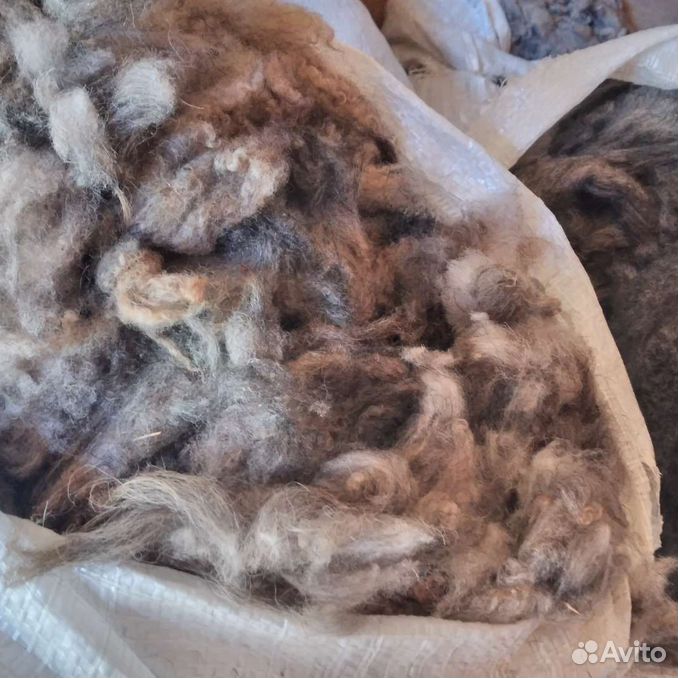 Шерсть овечья