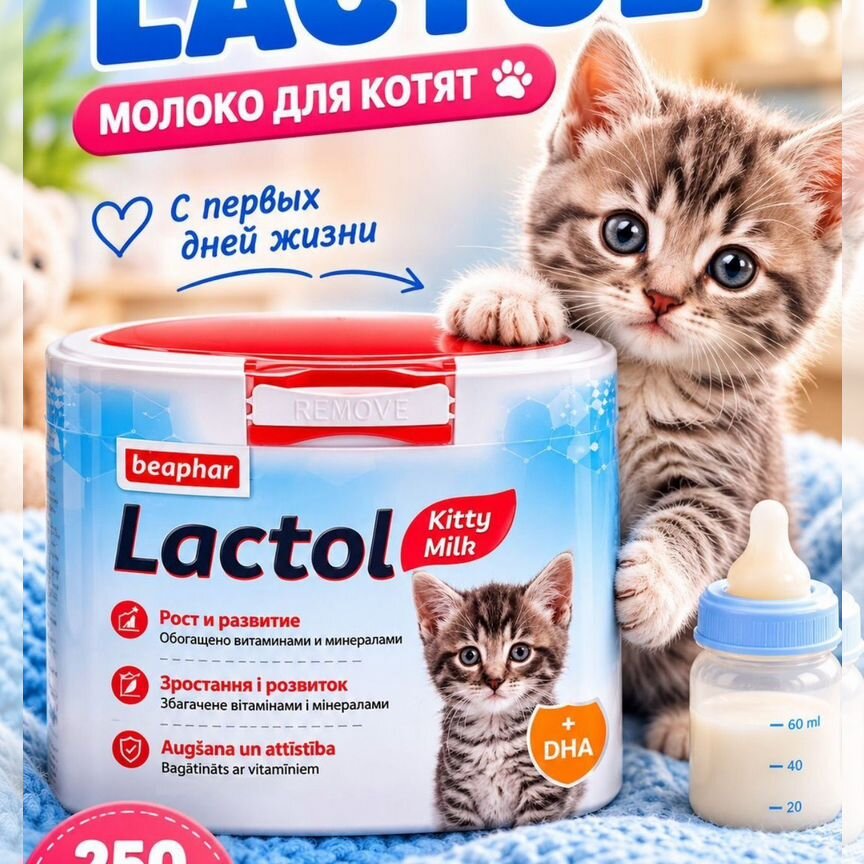 Сухое молоко для котят