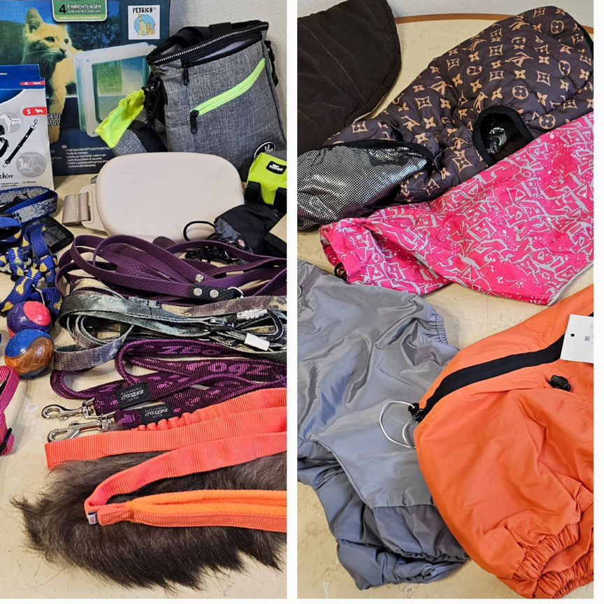 Амуниция для собак, одежда, игрушки