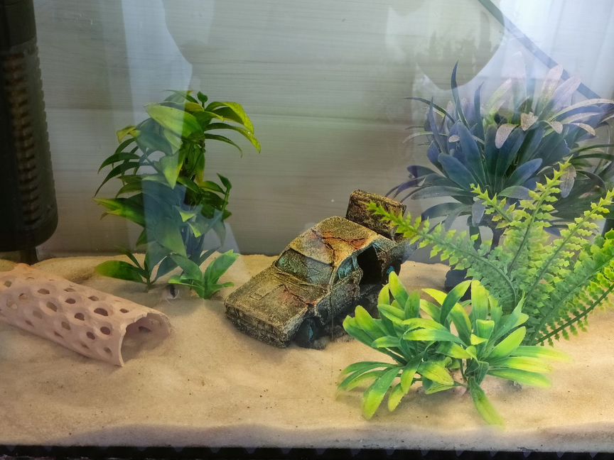 Аквариум с автокормушкой