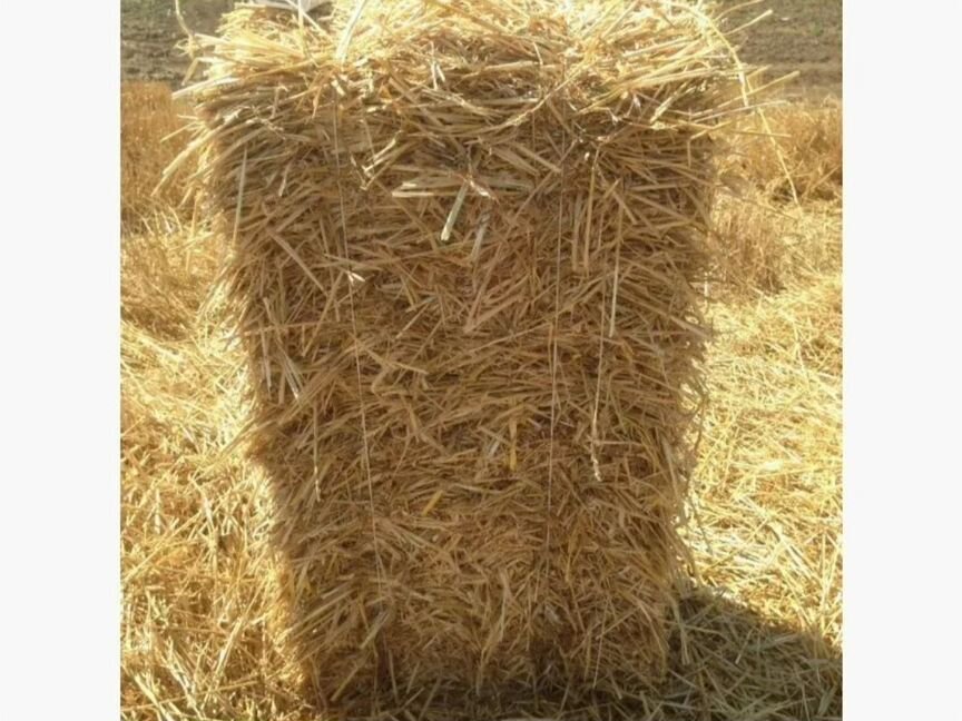 Солома, с доставкой по Вадскому райену от 50 тюков