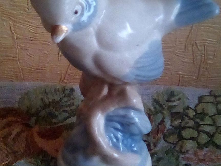 Птица