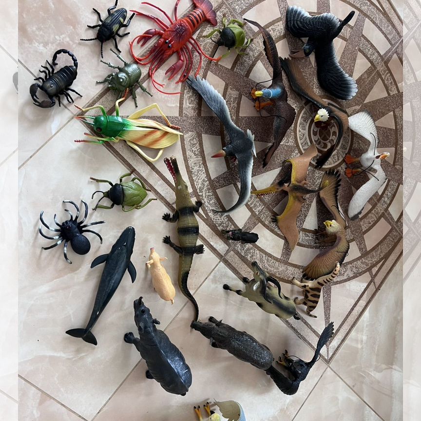 Птицы и животные