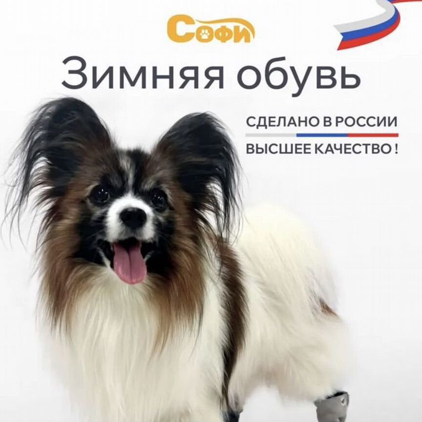 Зооателье софи для собак