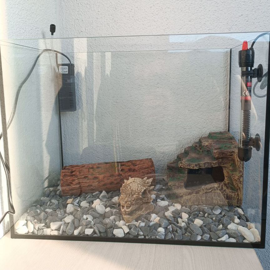Готовый аквариум для рыб