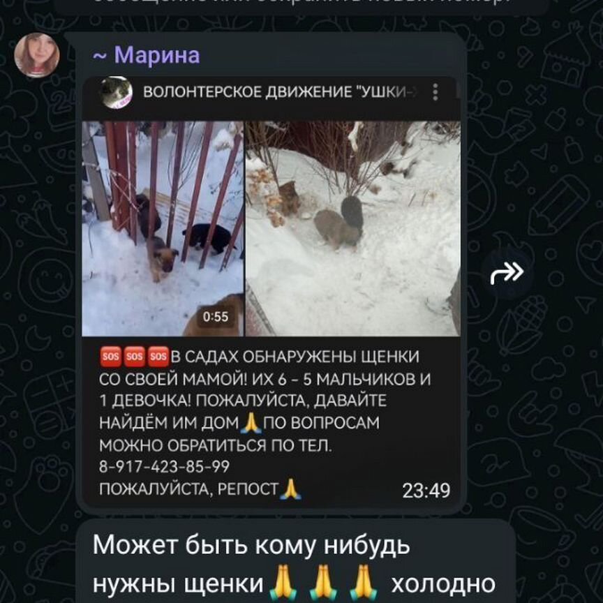 Помогите бездомнвм