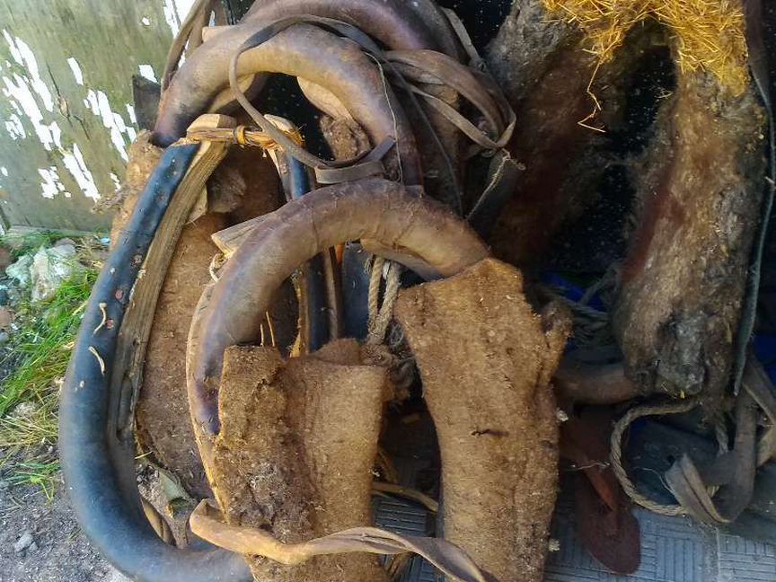 Хомут для лошади