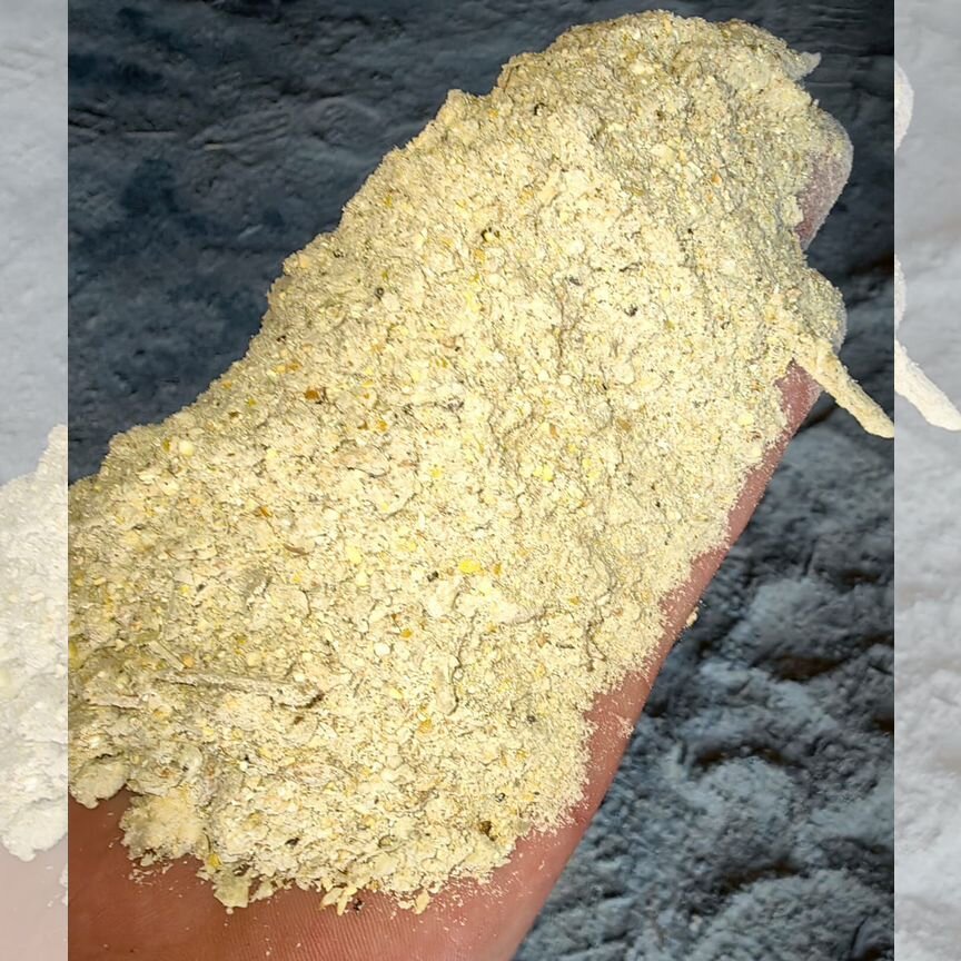 Мучка кукурузная