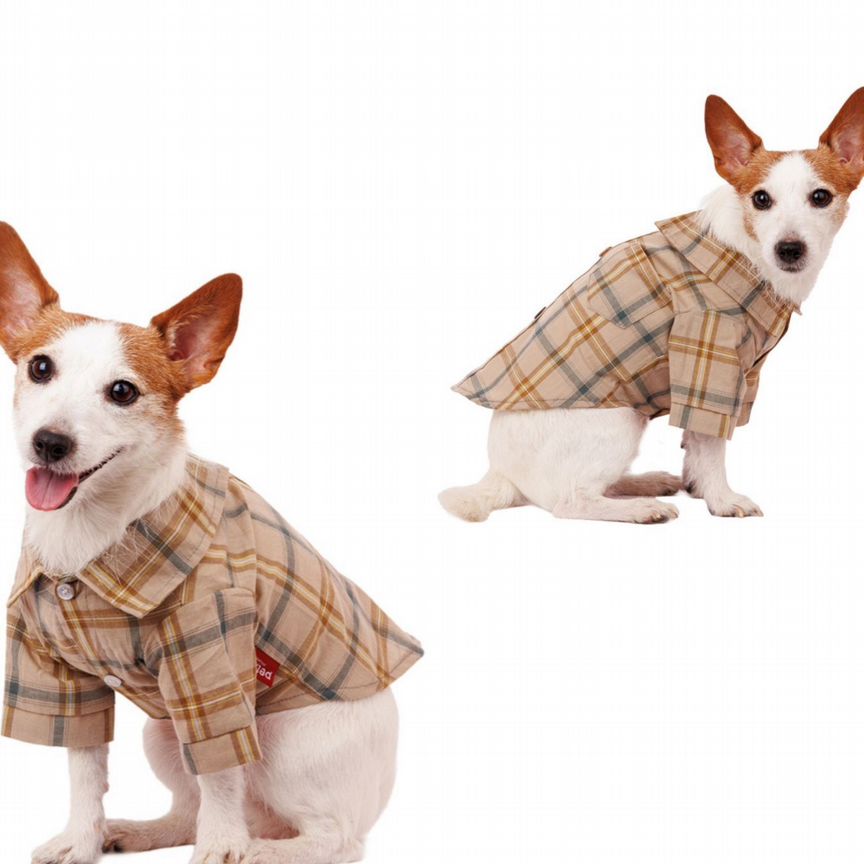 Рубашка для собак мелких пород