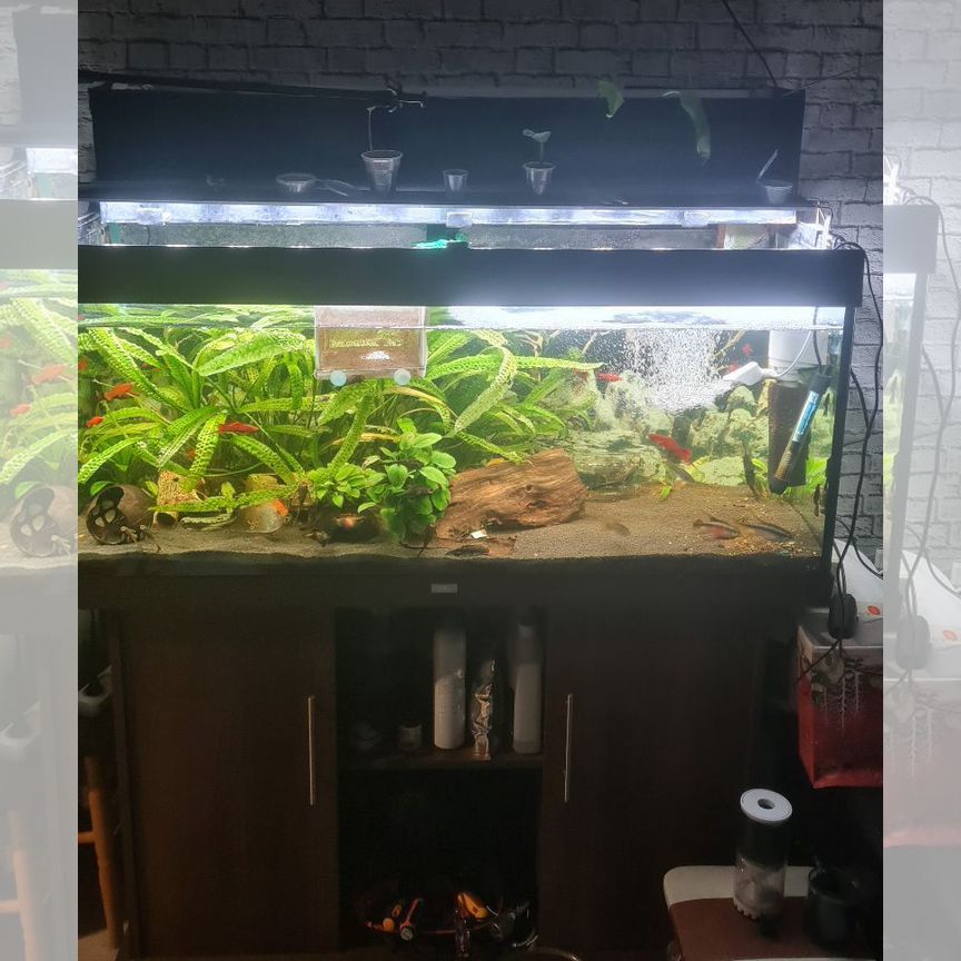 Аквариум с тумбой