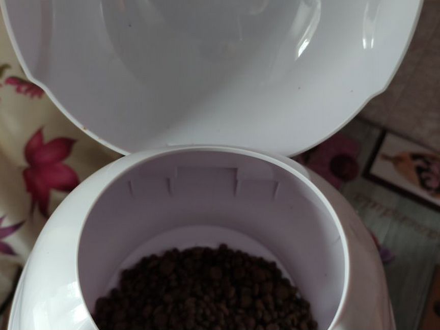 Автокормушка