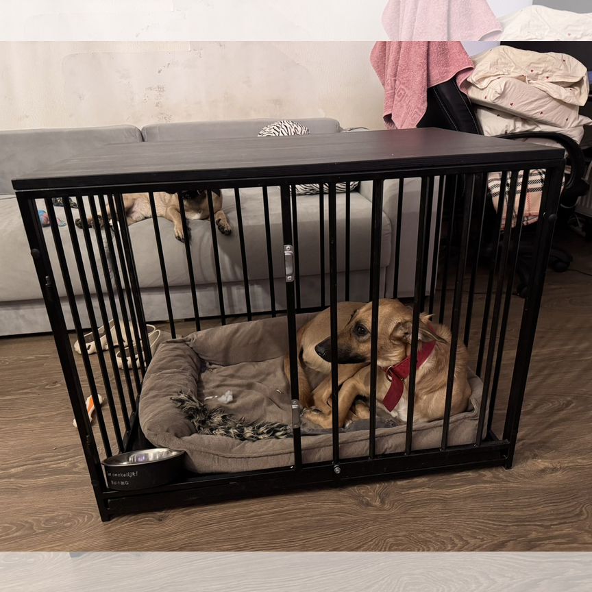 Клетка для собак антивандальная