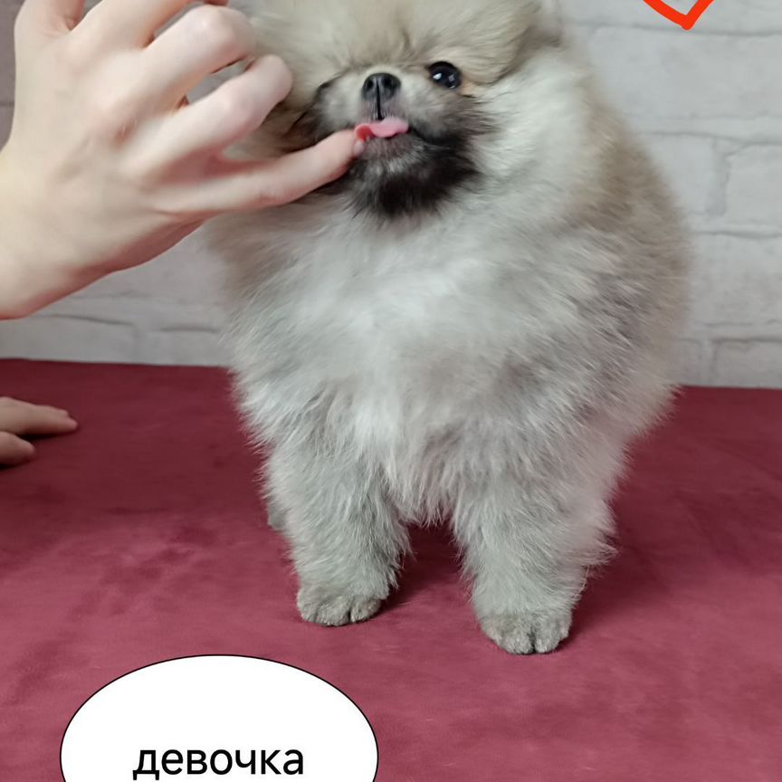 Mini супер кукла