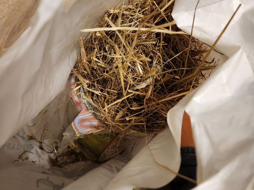 Сено для грызунов