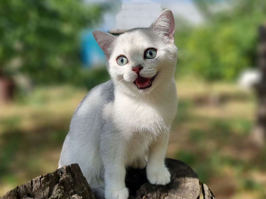 Малыш-улыбашка