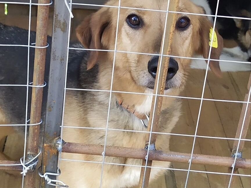 Как же хочется на волю в семью