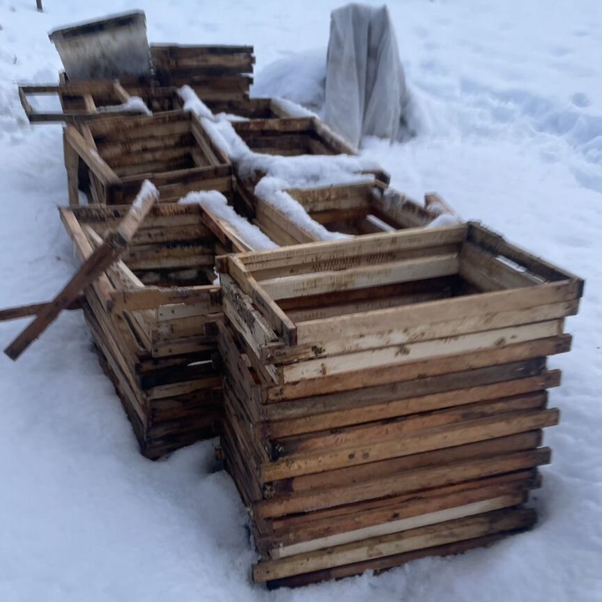 Рамки для ульев бу