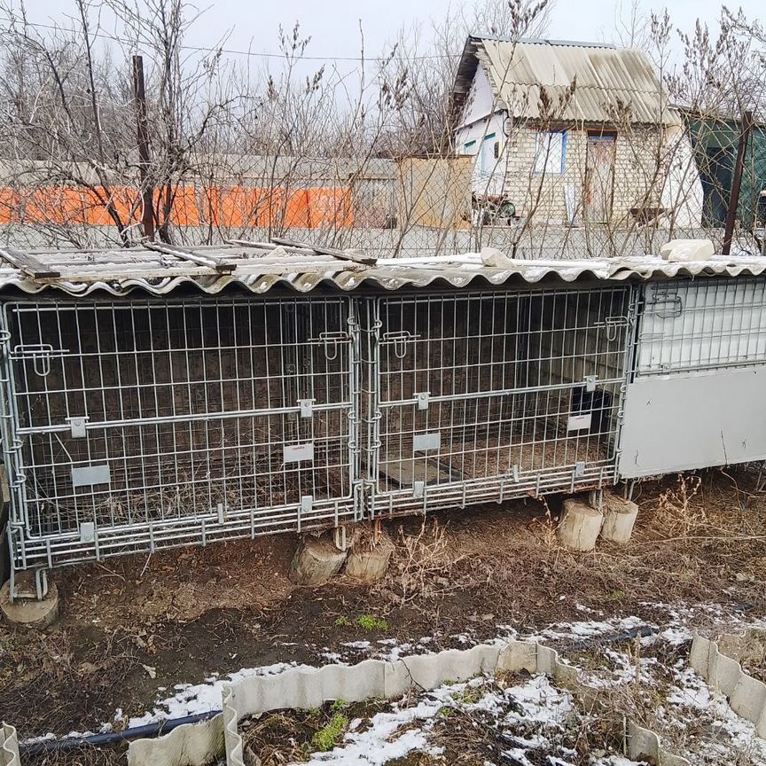 Клетки для нутрий