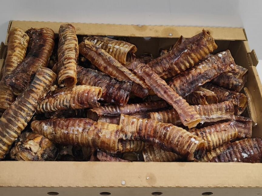 Трахея сушёная