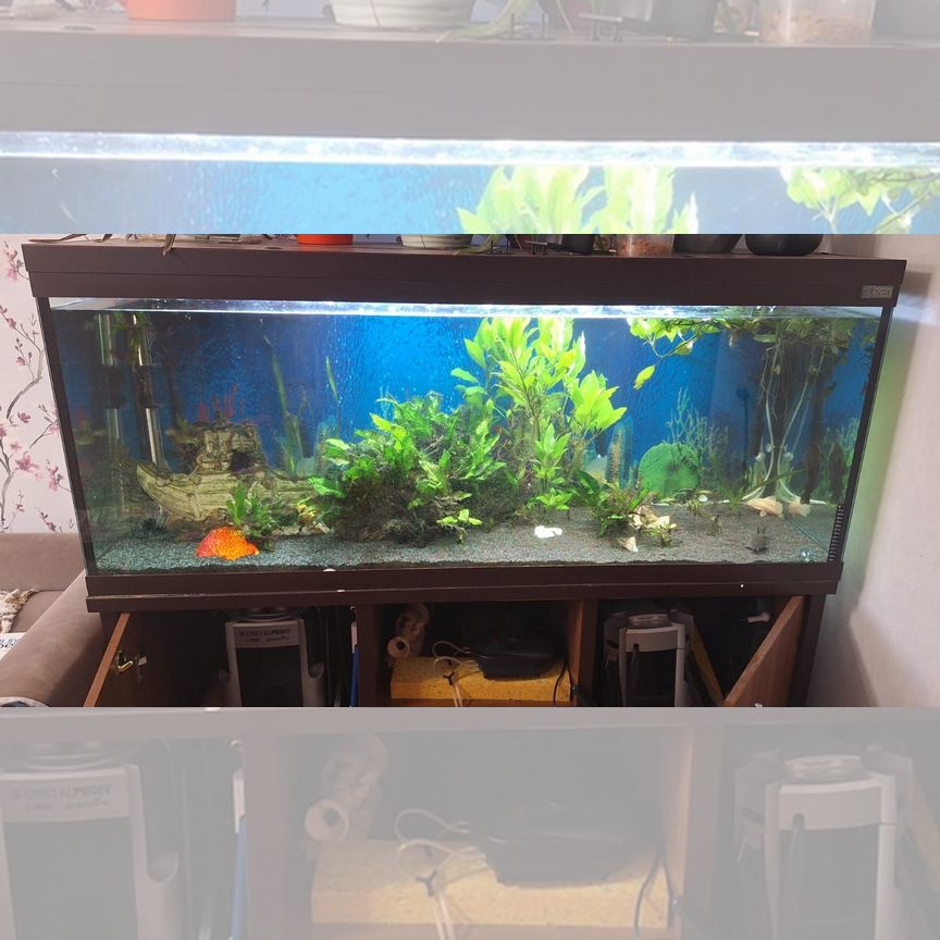 Аквариум 450 литров