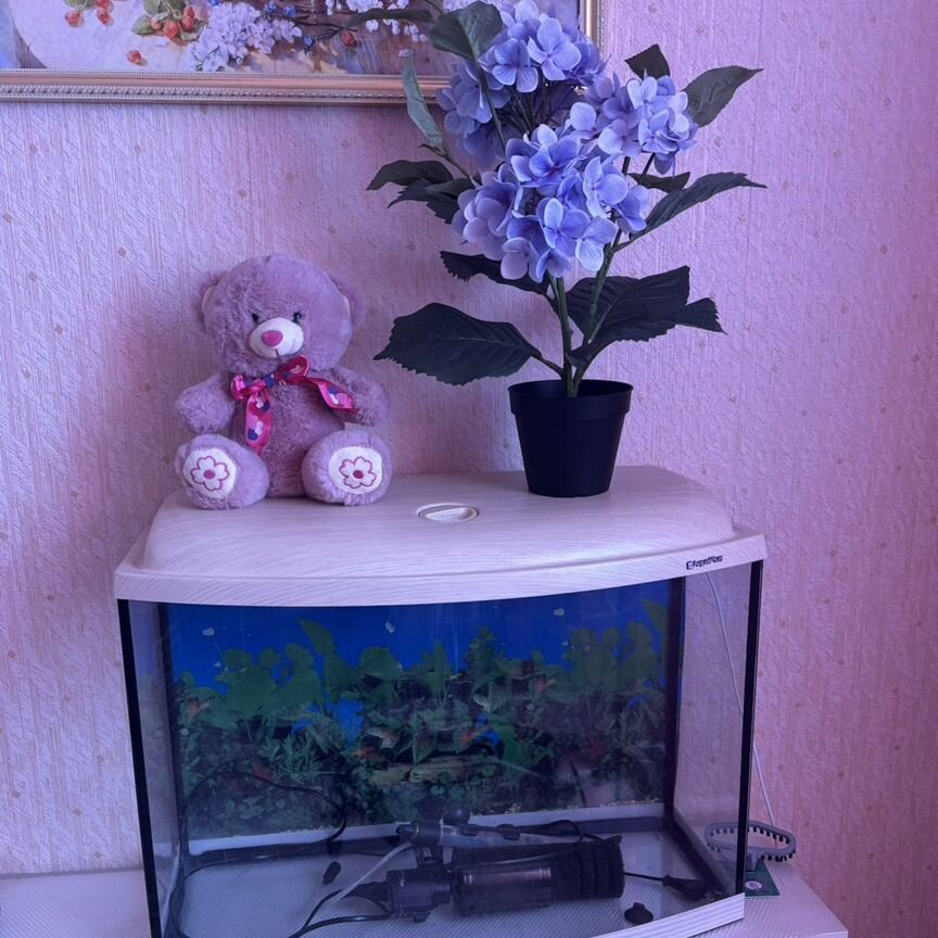 Аквариум 70л