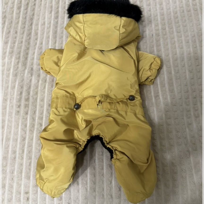 Одежда для собак